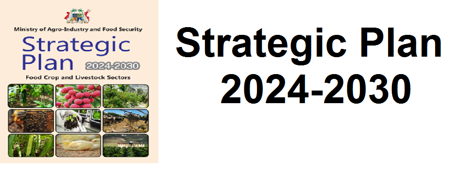 Strategic Plan 2024-2030