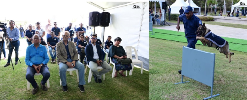 World Animal Day 2024: MSAW launches campaign for Animal Welfare and ...